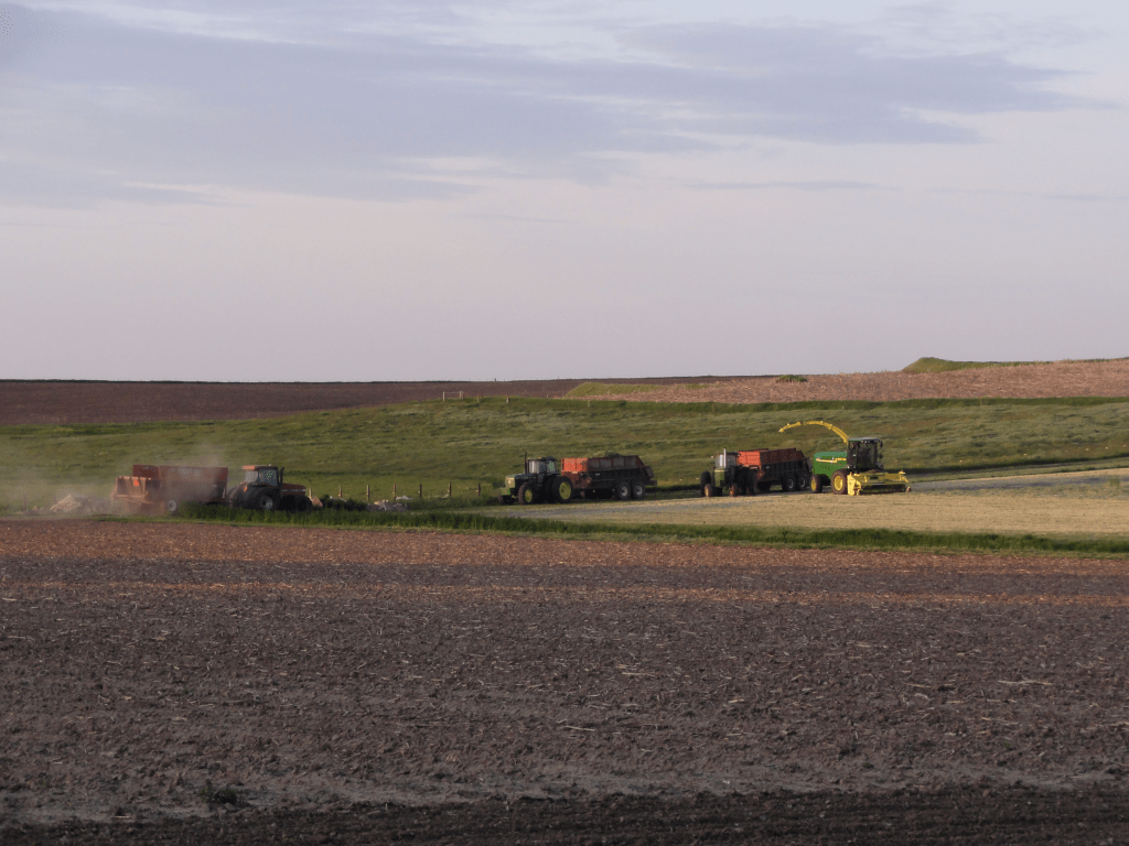 Carson Feeders – Quality Beef Through Excellence in Performance
